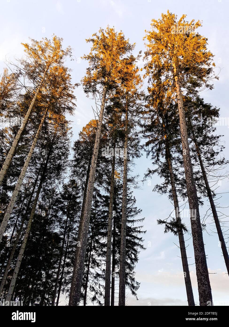 Elevated from ground hi-res stock photography and images - Alamy