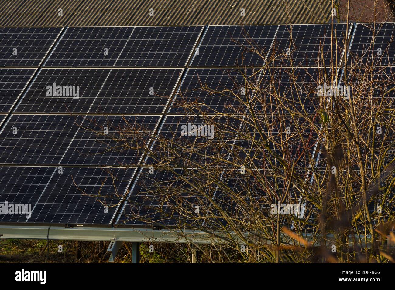 Backyard solar panels on hi-res stock photography and images - Alamy