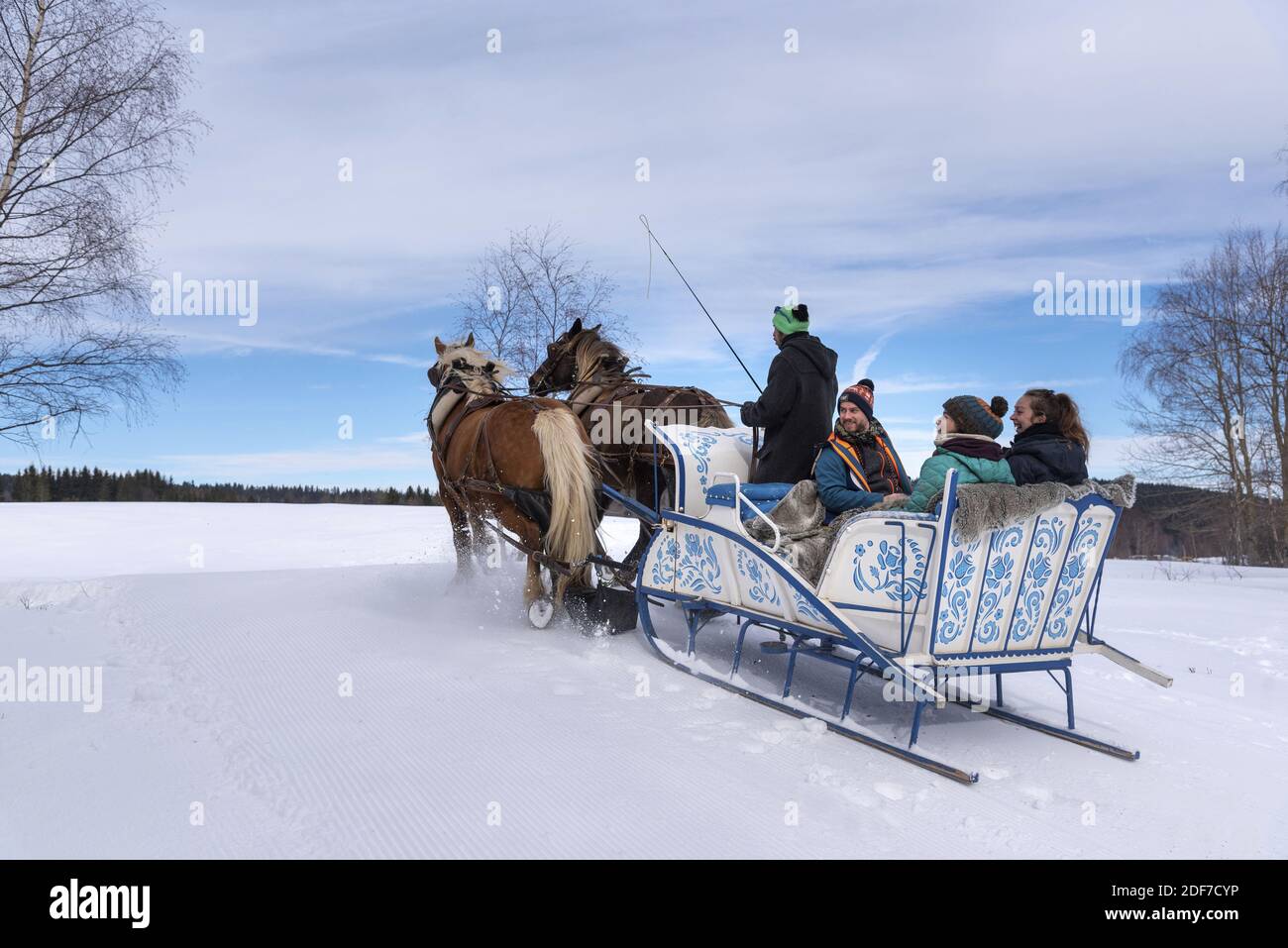 Winter Troika Ride