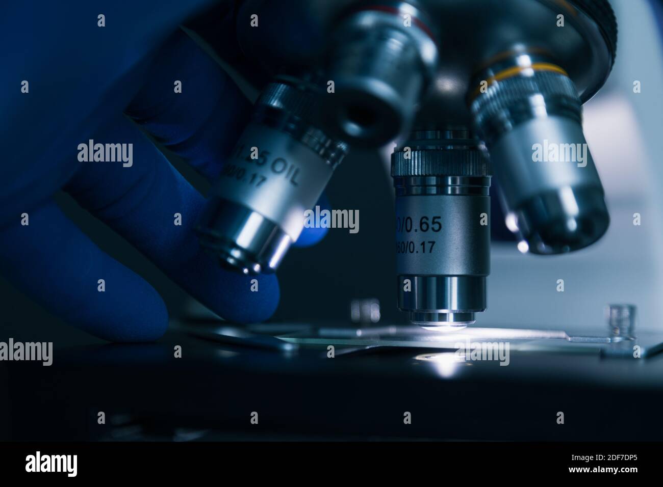 Microscope slide microbiology hi-res stock photography and images - Alamy