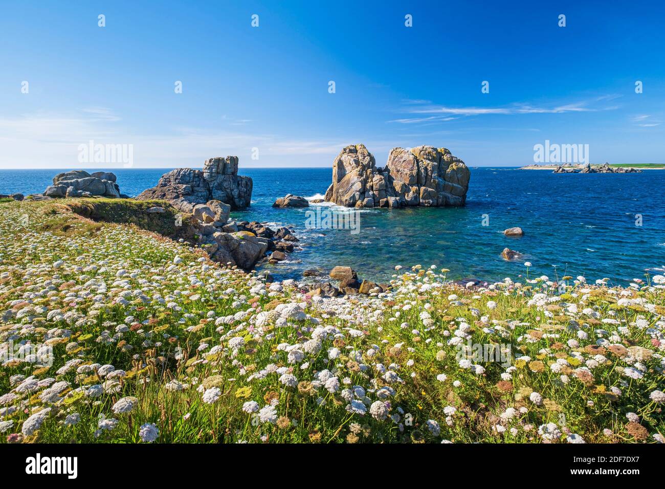 France, Finistere, Porspoder, Pointe de Garchine along the GR 34 hiking ...