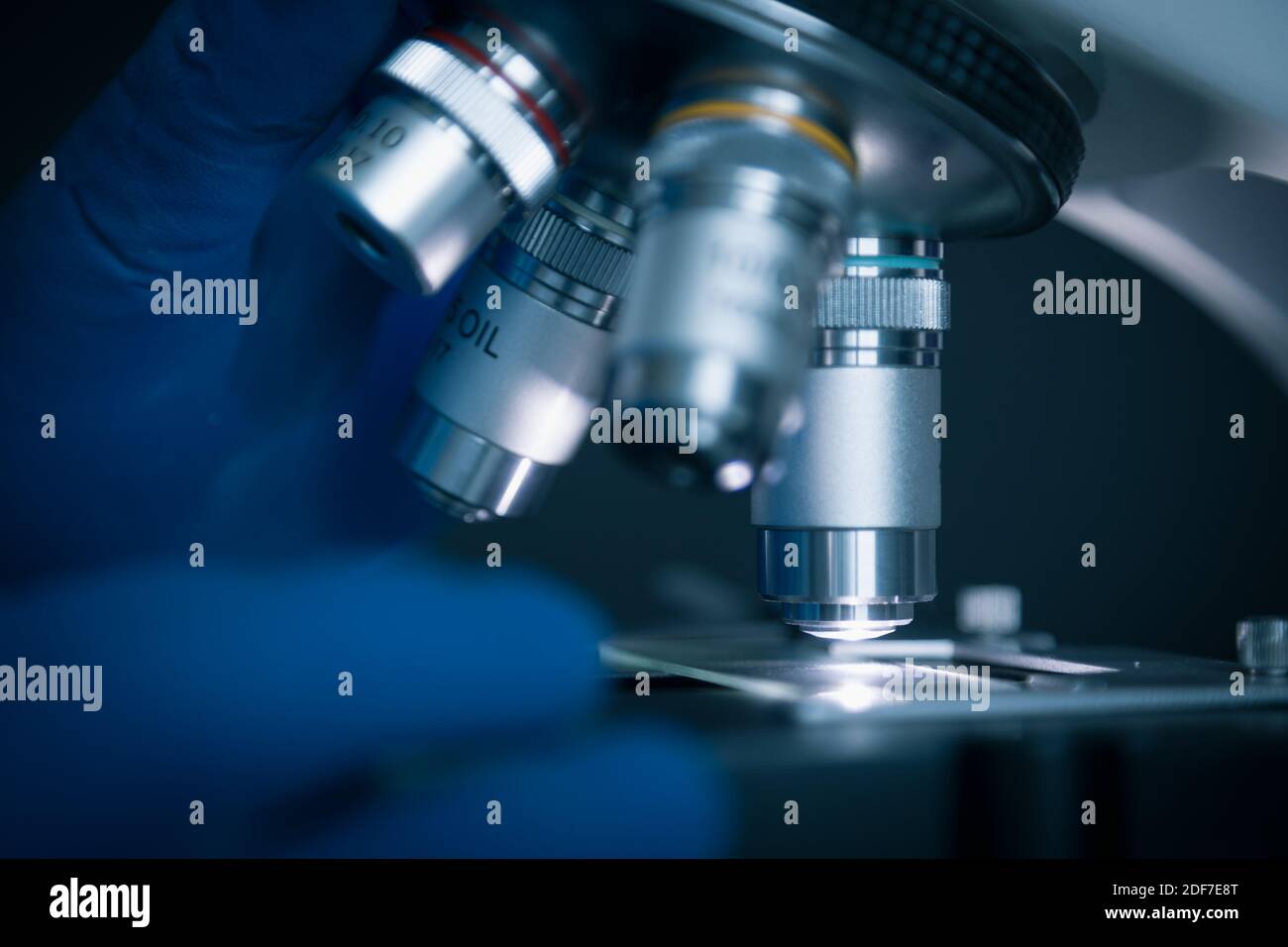 Microscope slide microbiology hi-res stock photography and images - Alamy