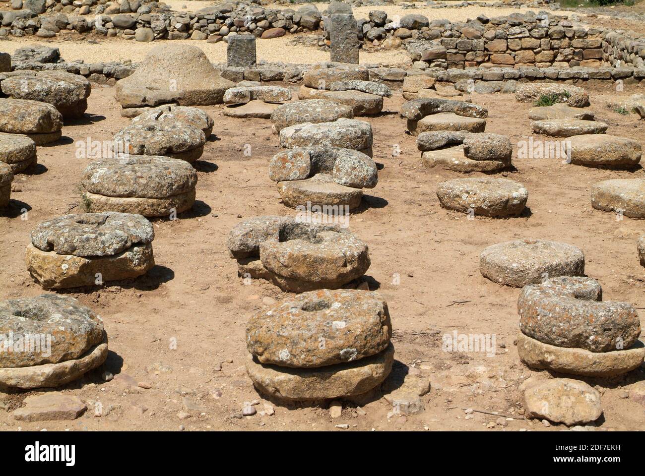 Celtiberian hi-res stock photography and images - Alamy