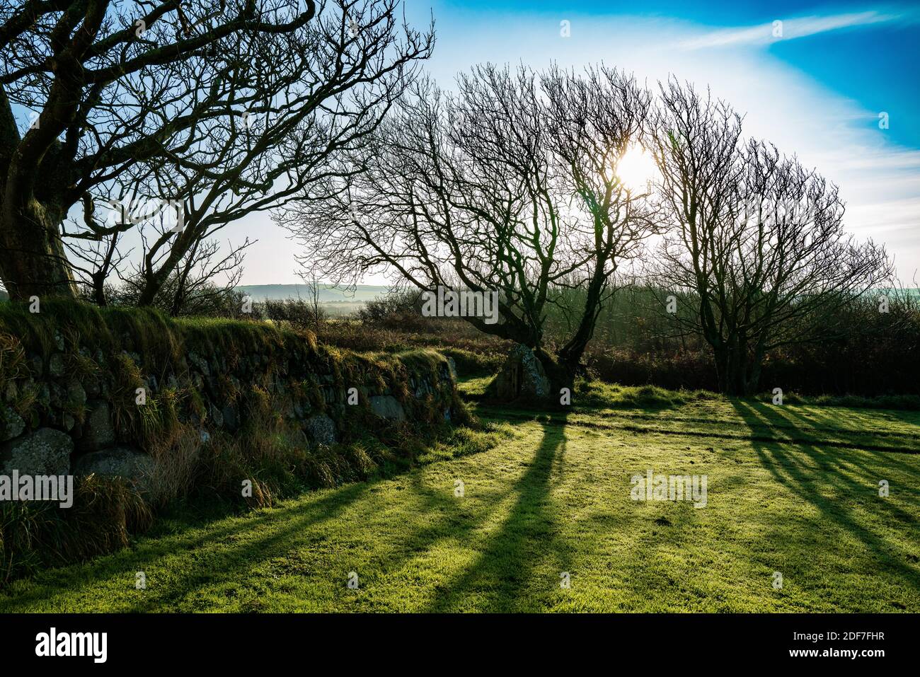 Early morning mist in Pembrokeshire countryside Stock Photo - Alamy