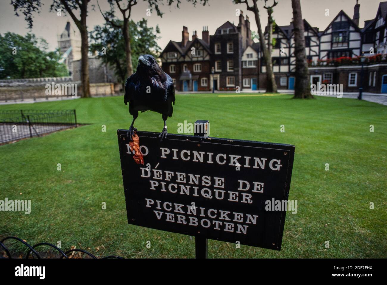 Tower of London, London UK 1986 but scanned in 2020 Behind the scenes ...