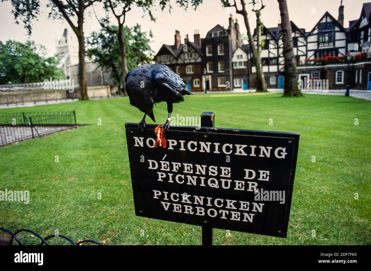 Tower of London, London UK 1986 but scanned in 2020 Behind the scenes ...
