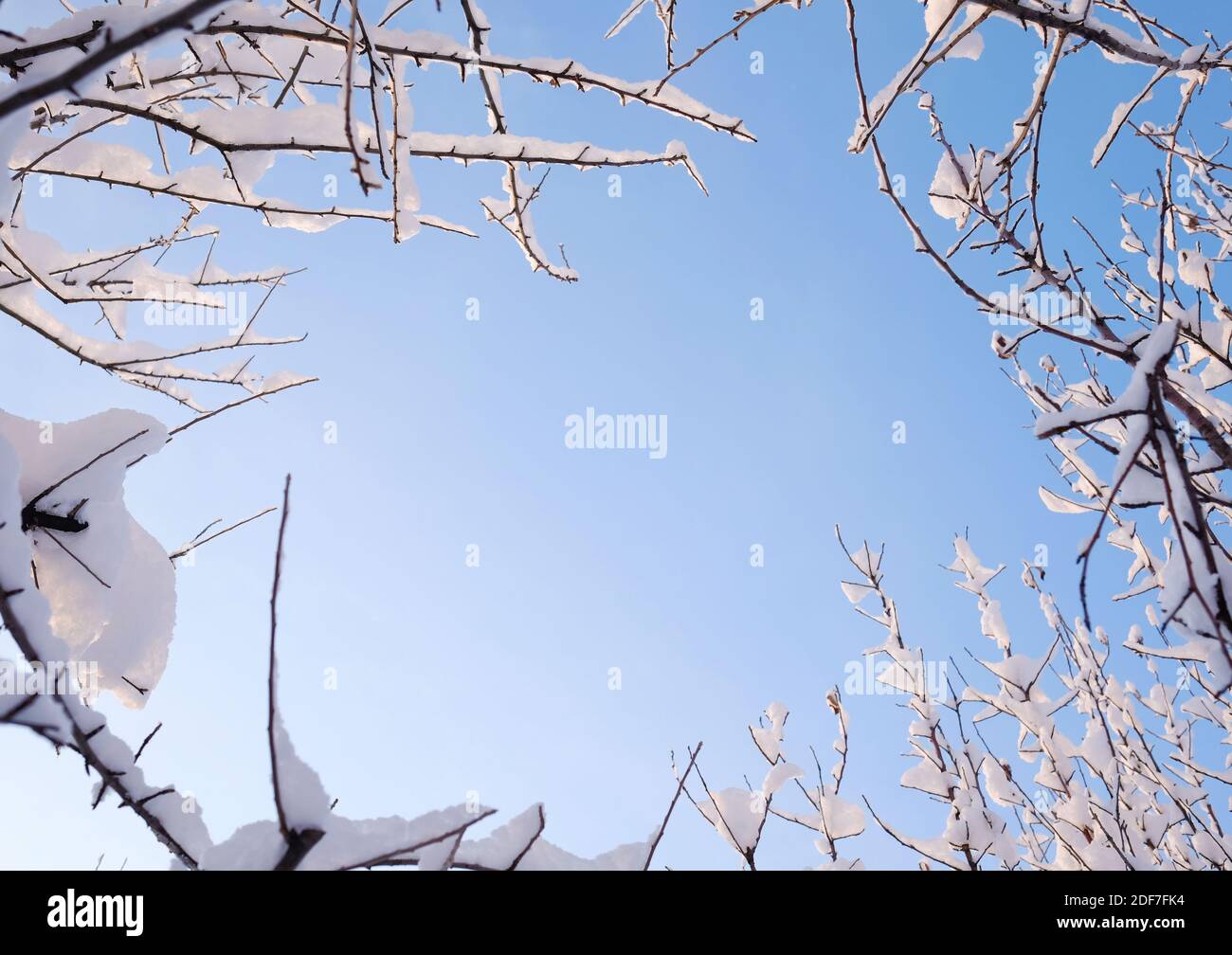 Winter blue sky background with snow and trees Stock Photo - Alamy