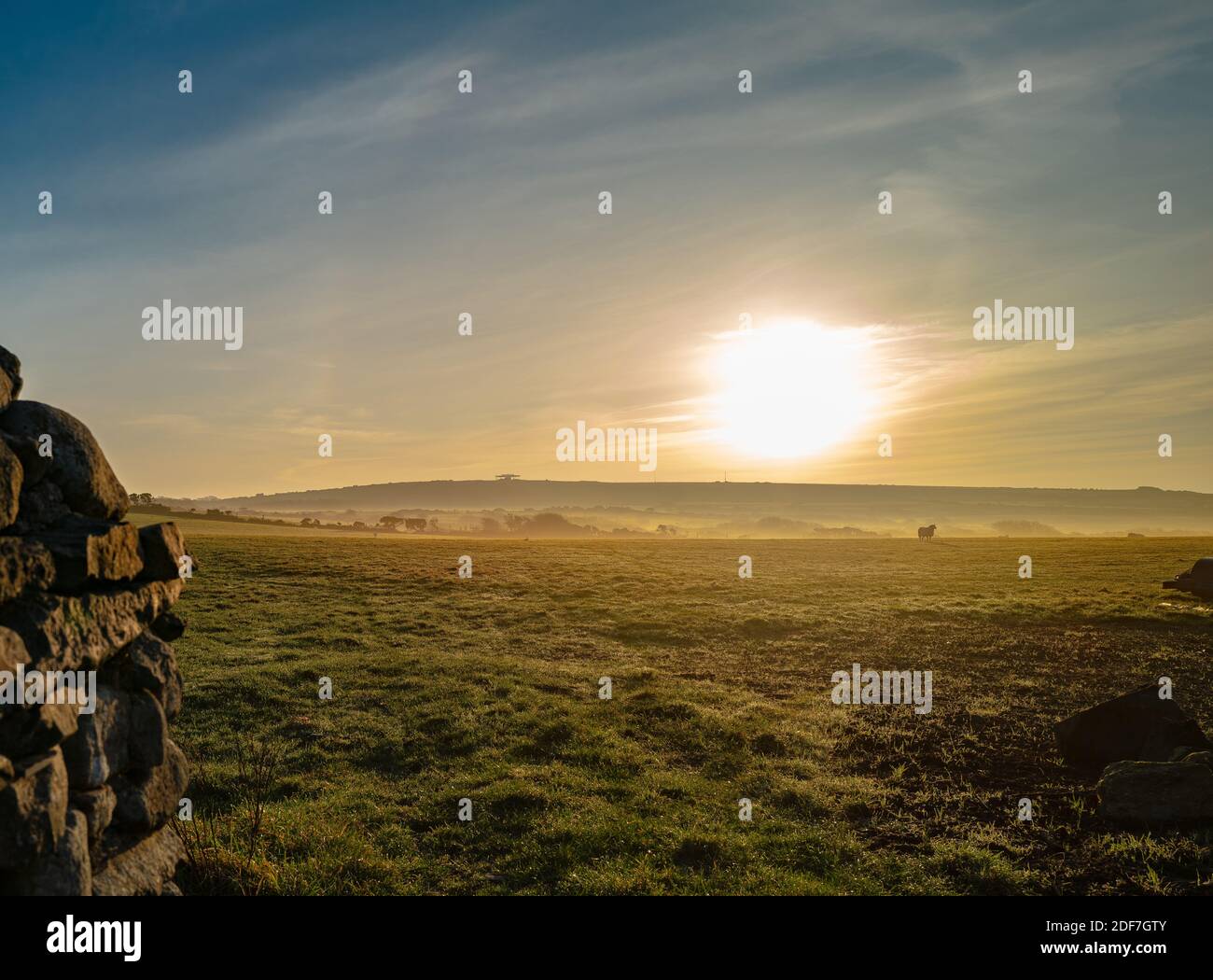 Dawn mist over Pembrokeshire farmland Stock Photo - Alamy