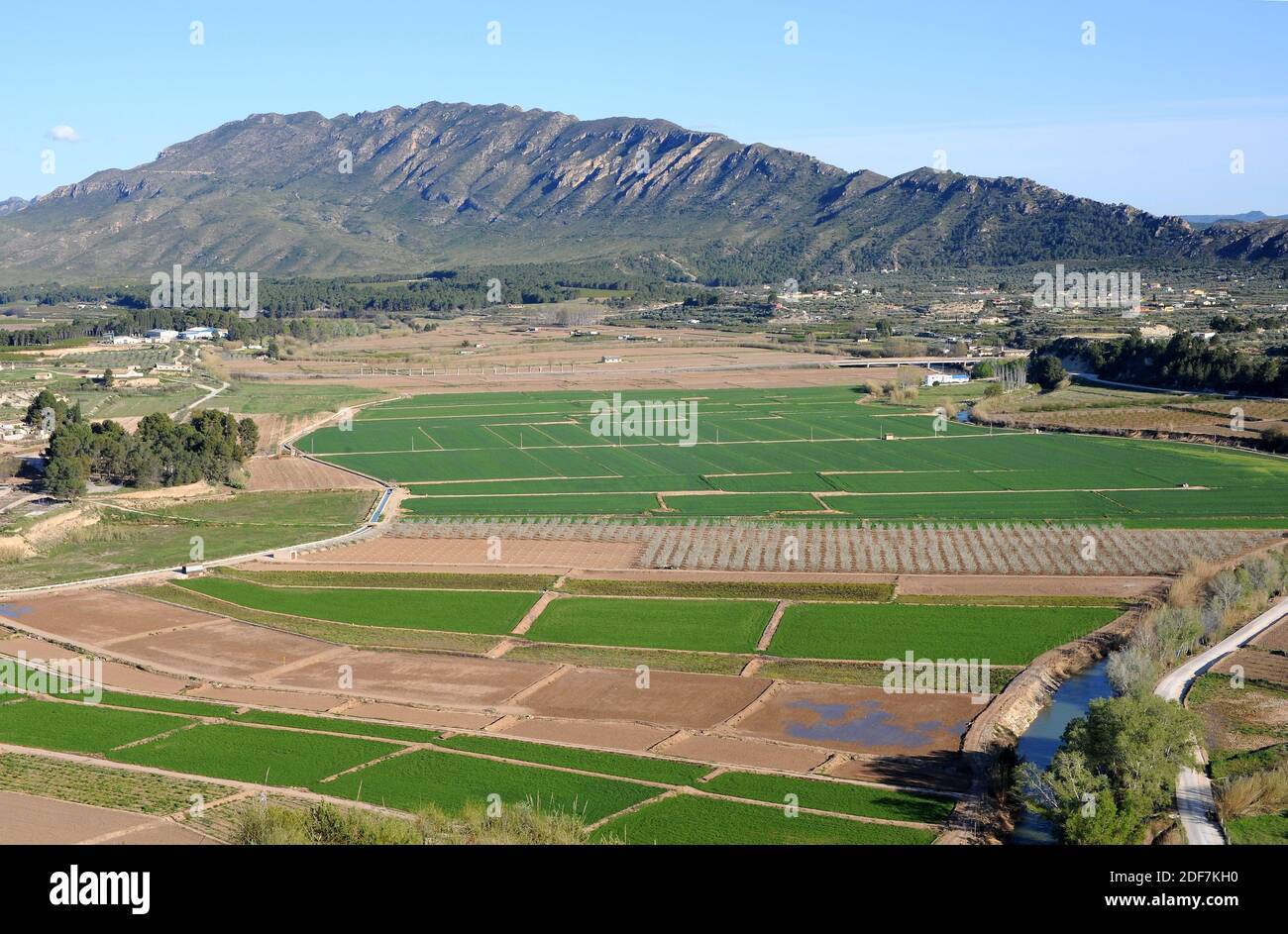 Rice fields spain hi-res stock photography and images - Alamy