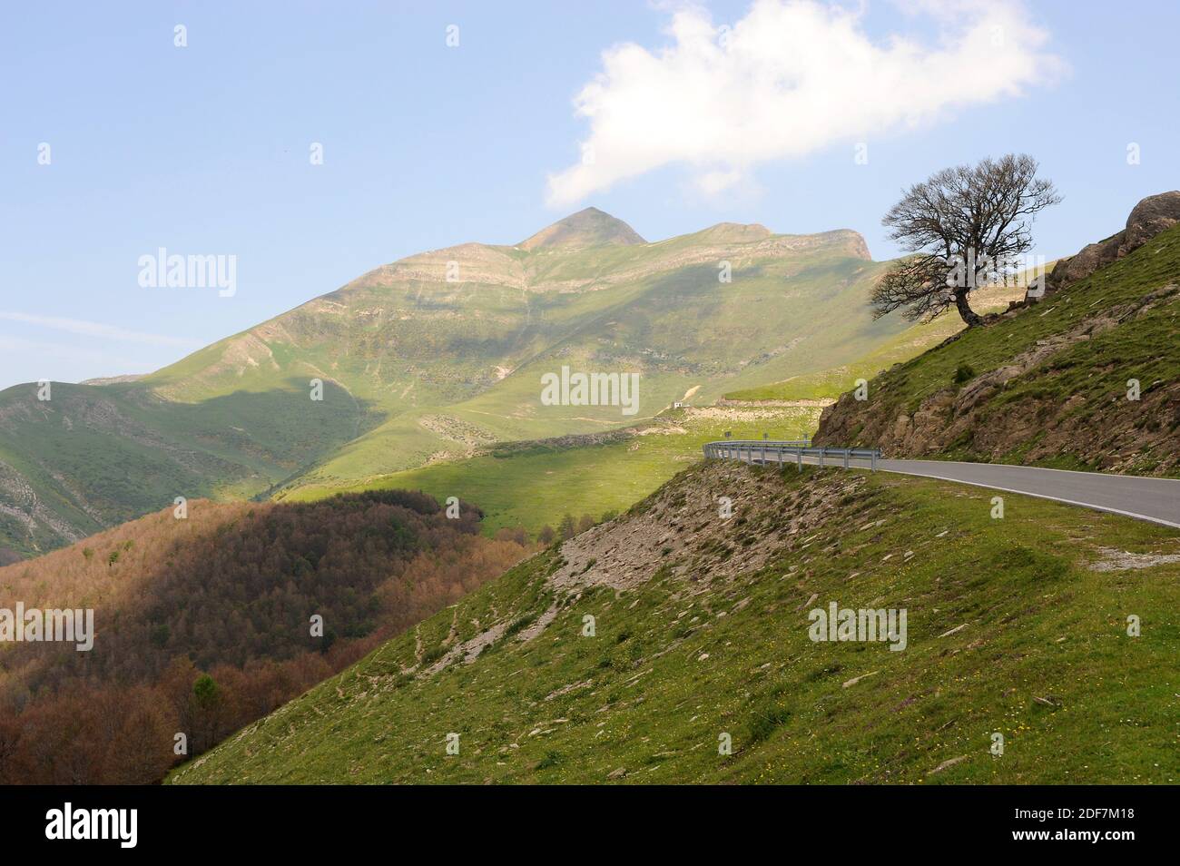 Port of Larrau, France and Spain border. Navarra, Spain Stock Photo - Alamy
