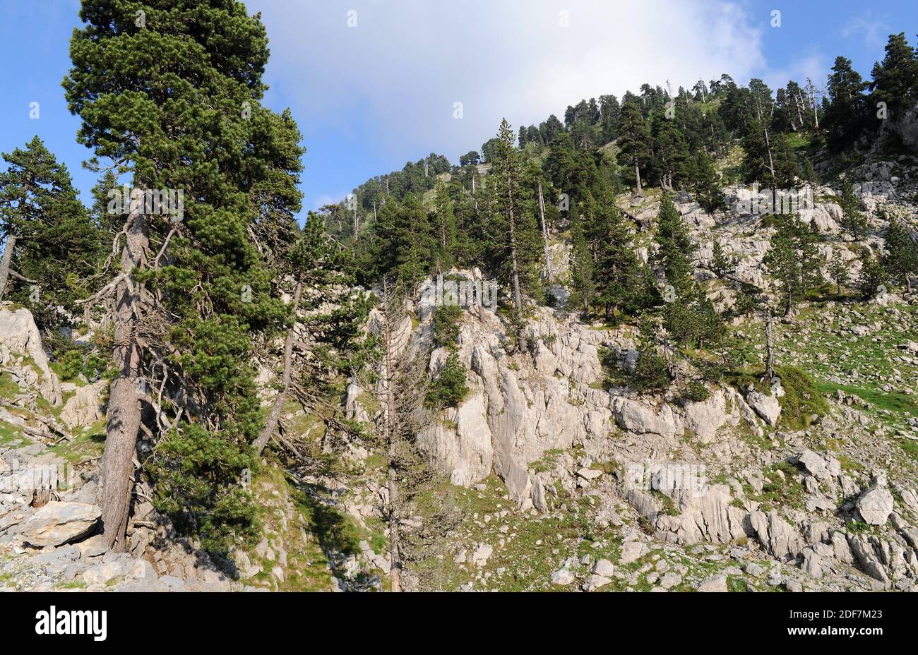 Larra massif hi-res stock photography and images - Alamy