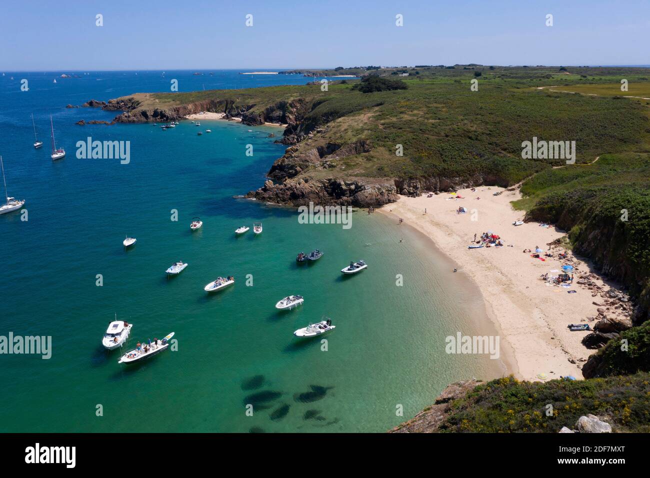 Halai hi-res stock photography and images - Alamy