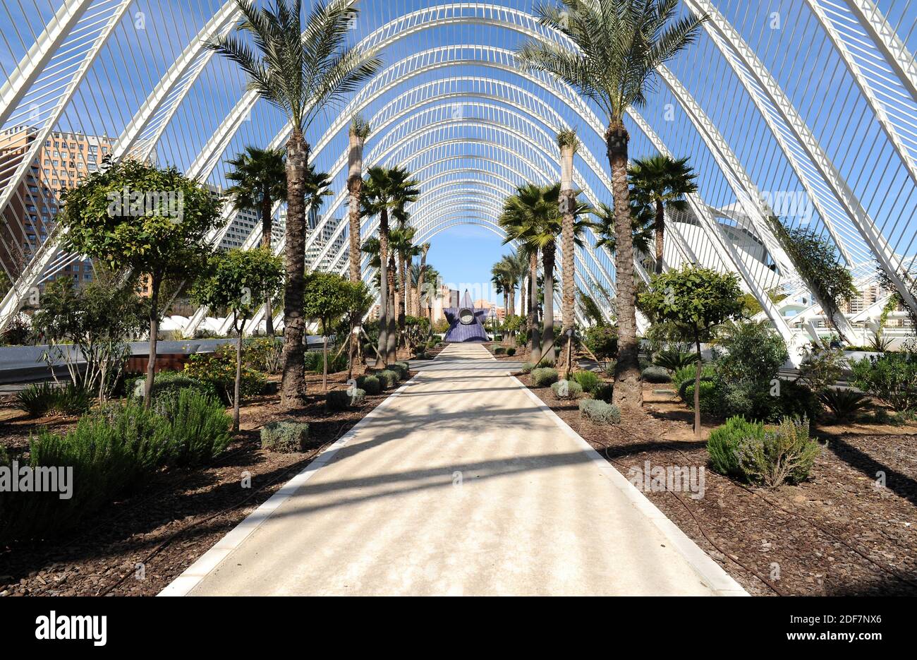 Umbraculo High Resolution Stock Photography and Images - Alamy