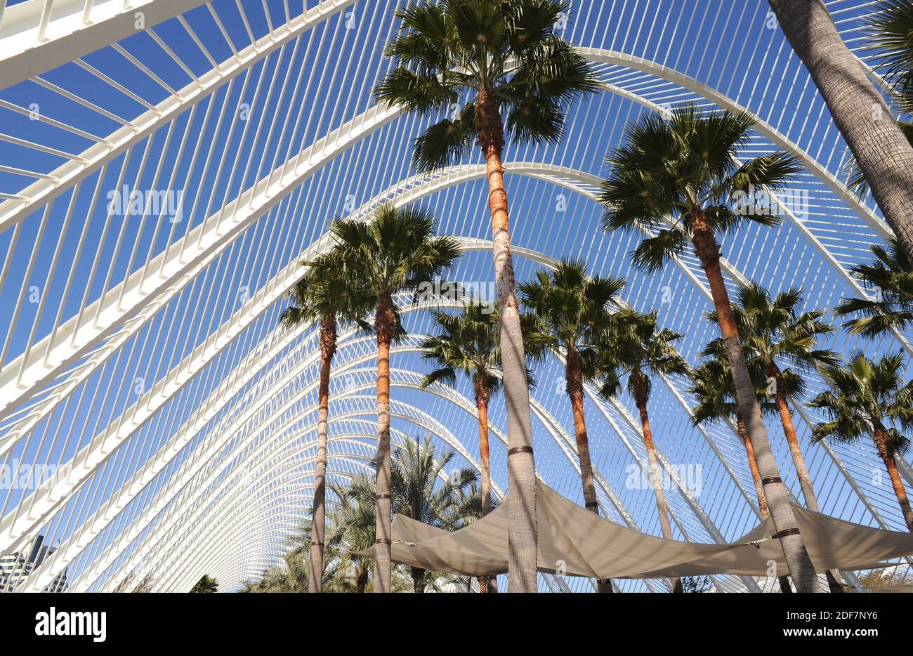 Umbraculo hi-res stock photography and images - Alamy