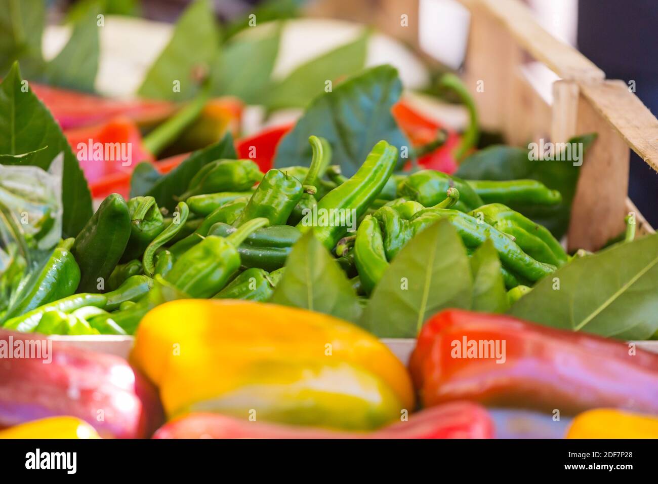 Red chilli in street market, Mexico Stock Photo - Alamy