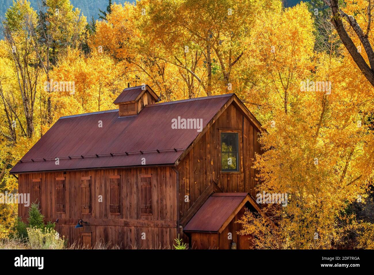 Telluride colorado fall colors hi-res stock photography and images - Alamy