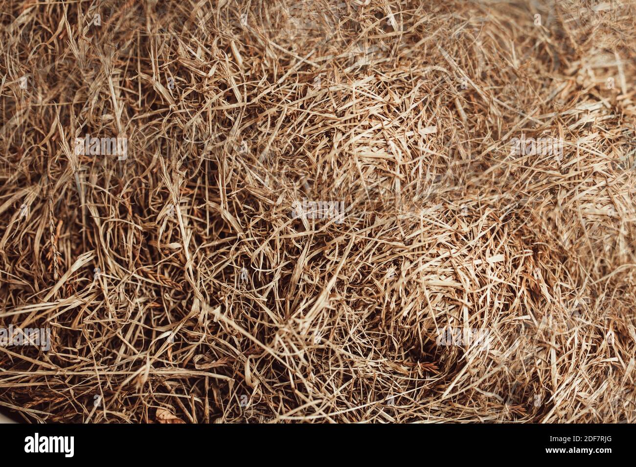 straw, dry straw, straw texture background.Golden straw,village ...
