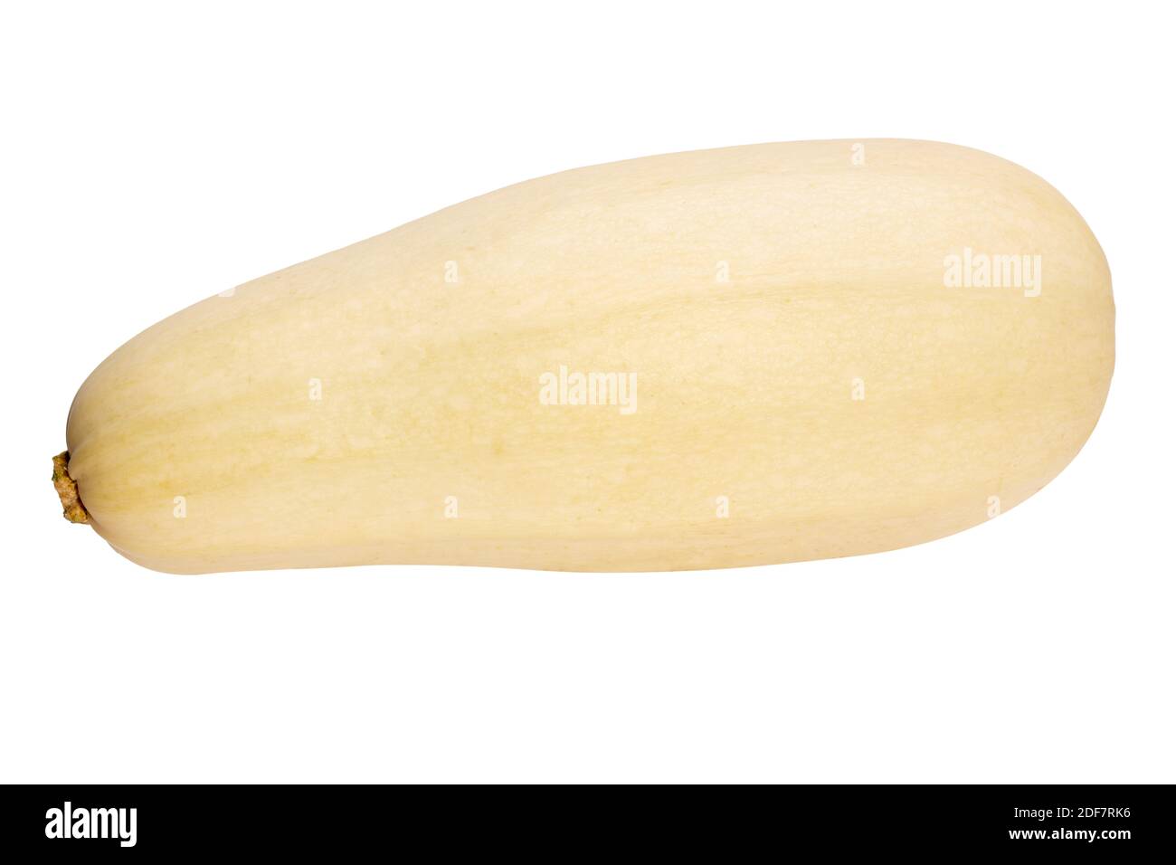 natural yellow courgette isolated on a white Stock Photo - Alamy
