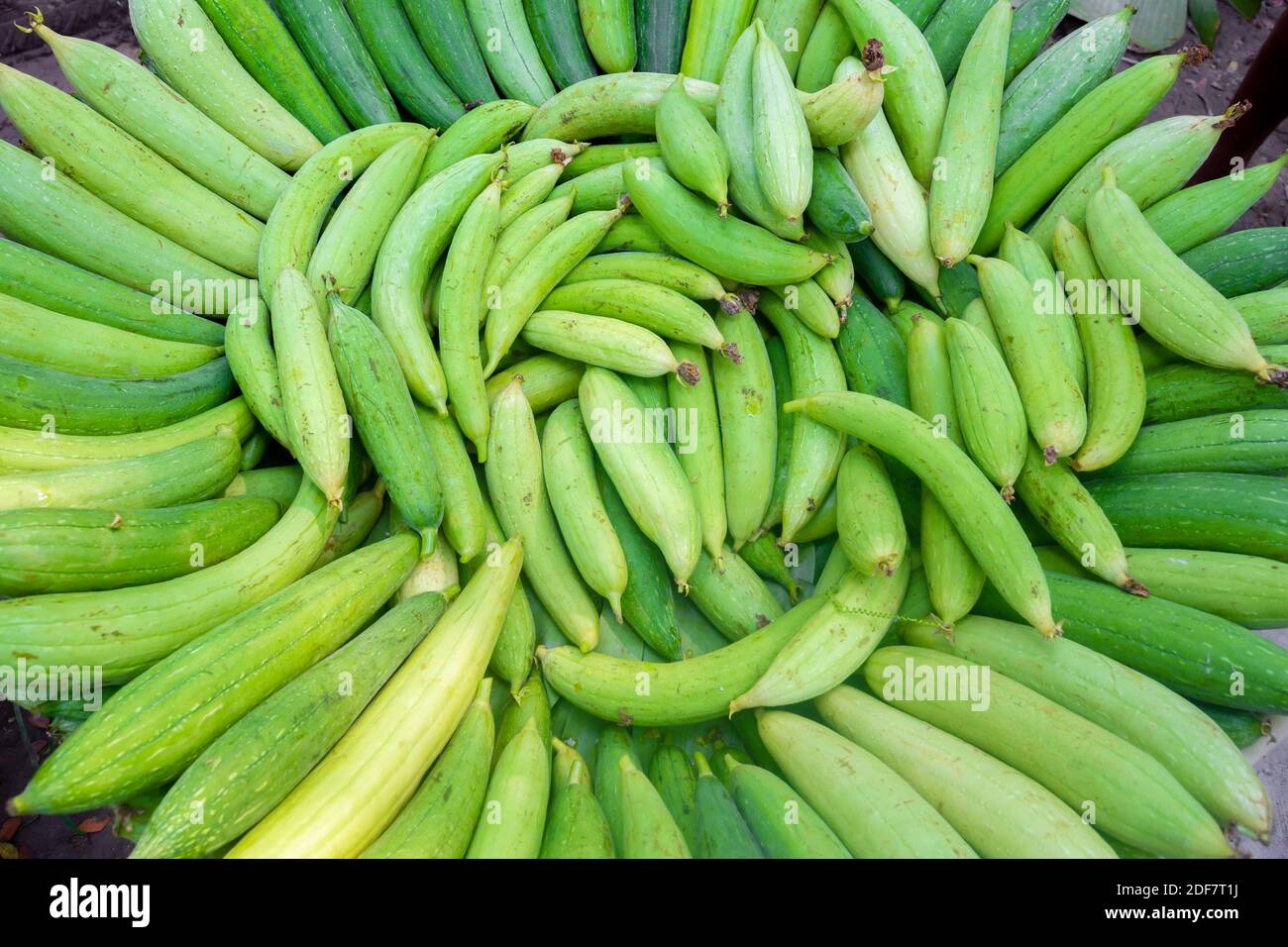Vietnamese gourd hi-res stock photography and images - Alamy