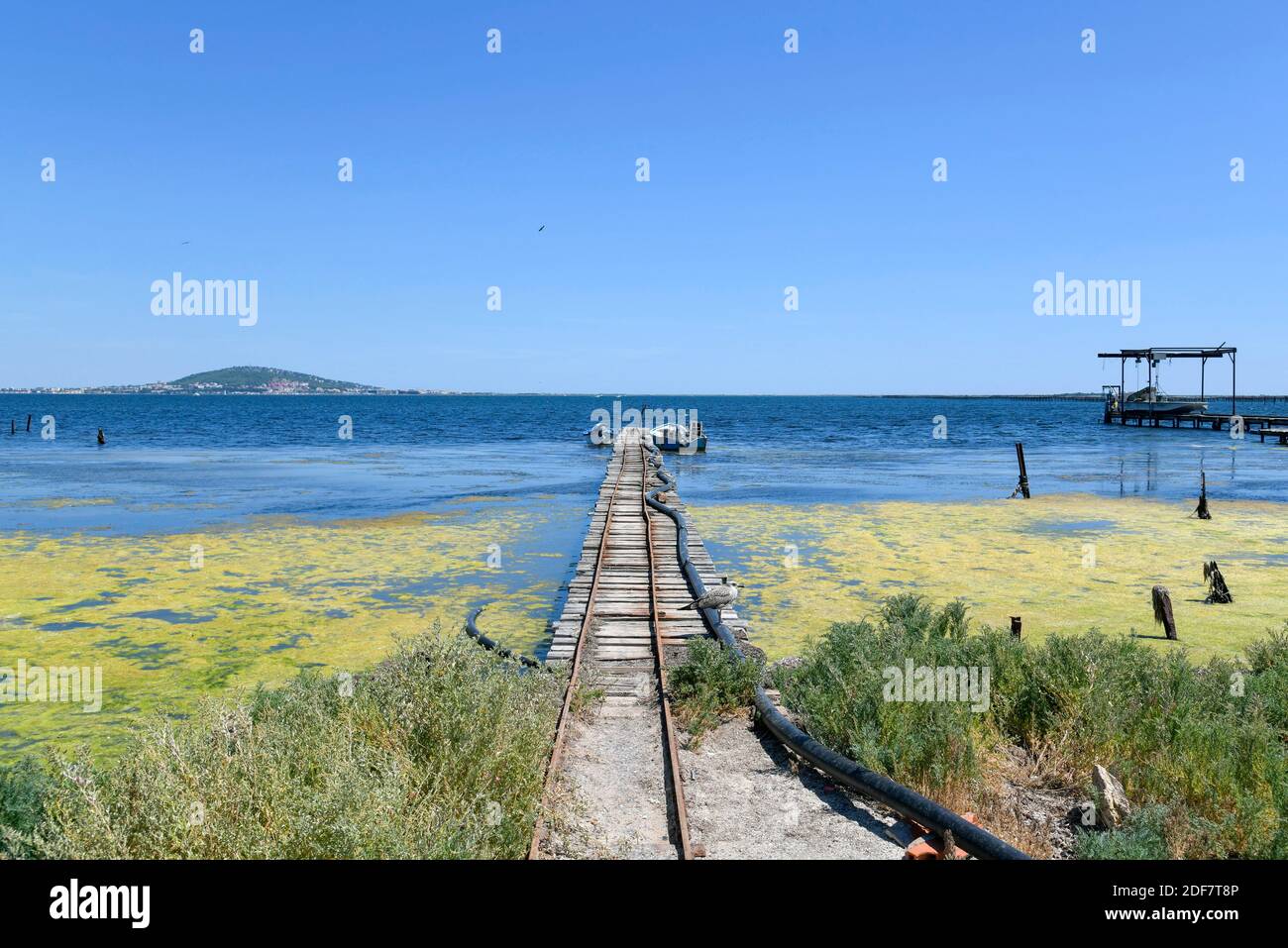 France, Herault, Thau lagoon, Meze, Mas de Cati, unloading dock in an ...