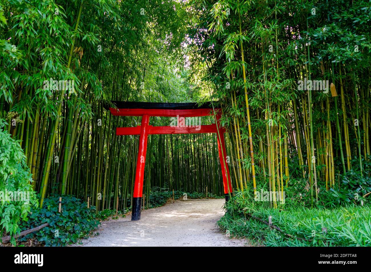 Traditional Japanese Portal High Resolution Stock Photography and ...