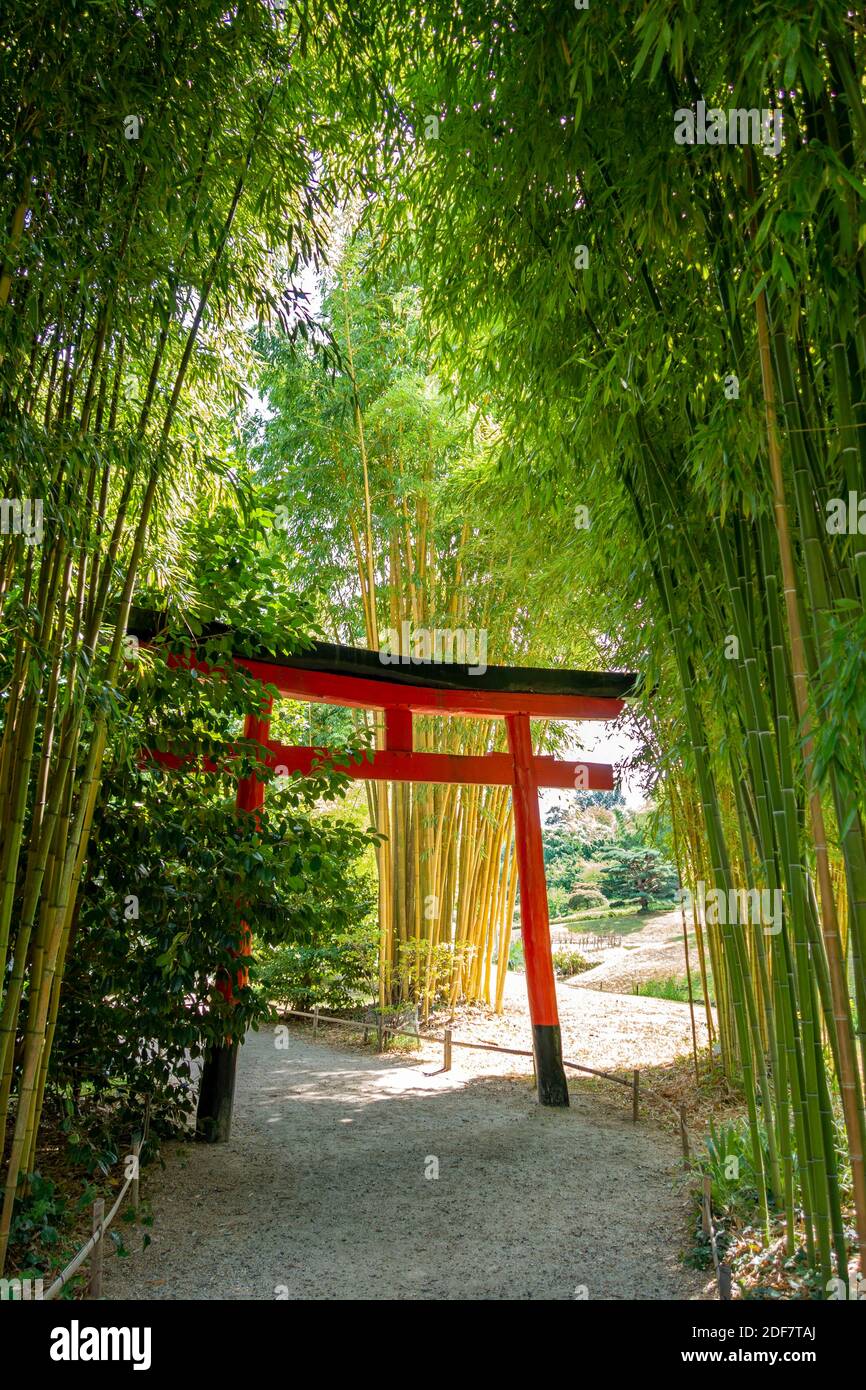 Traditional japanese portal hi-res stock photography and images - Alamy