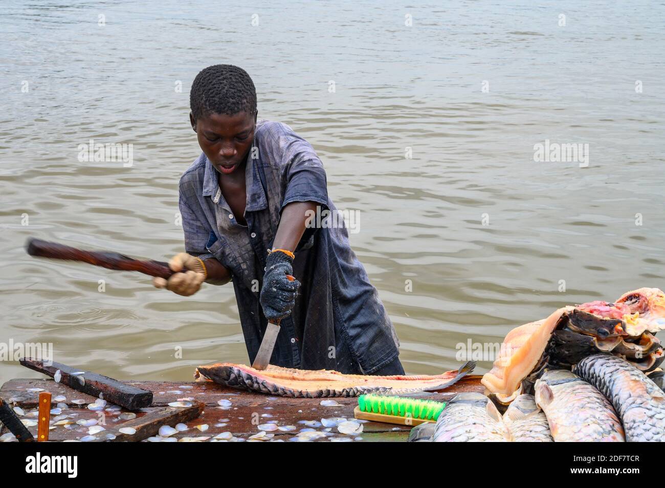 Gabon, moyen Ogou? district, Lambar?n?, fisherman back from fishing ...