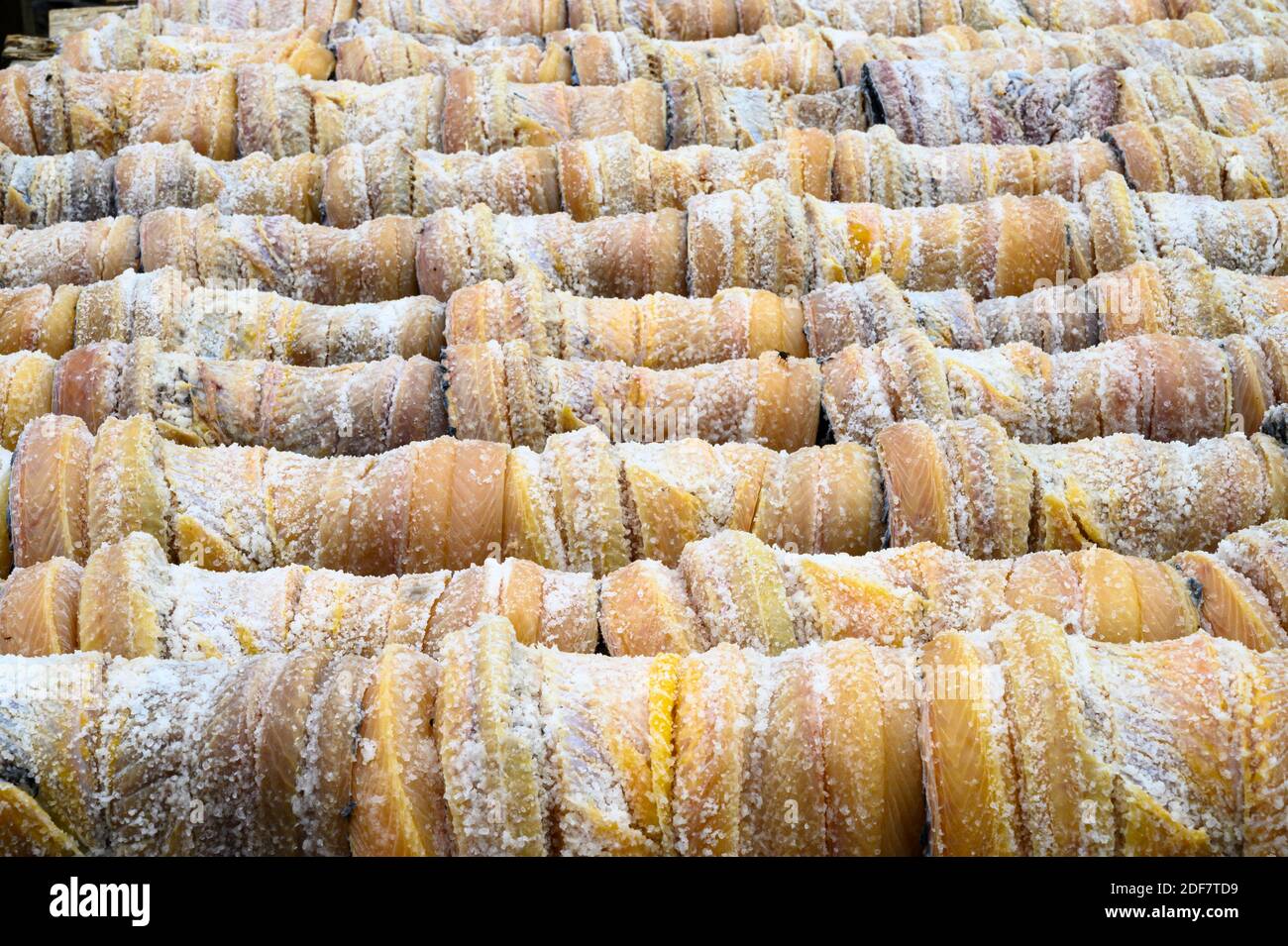 Gabon, moyen Ogou? district, Lambar?n?, fishes just salted down by the ...