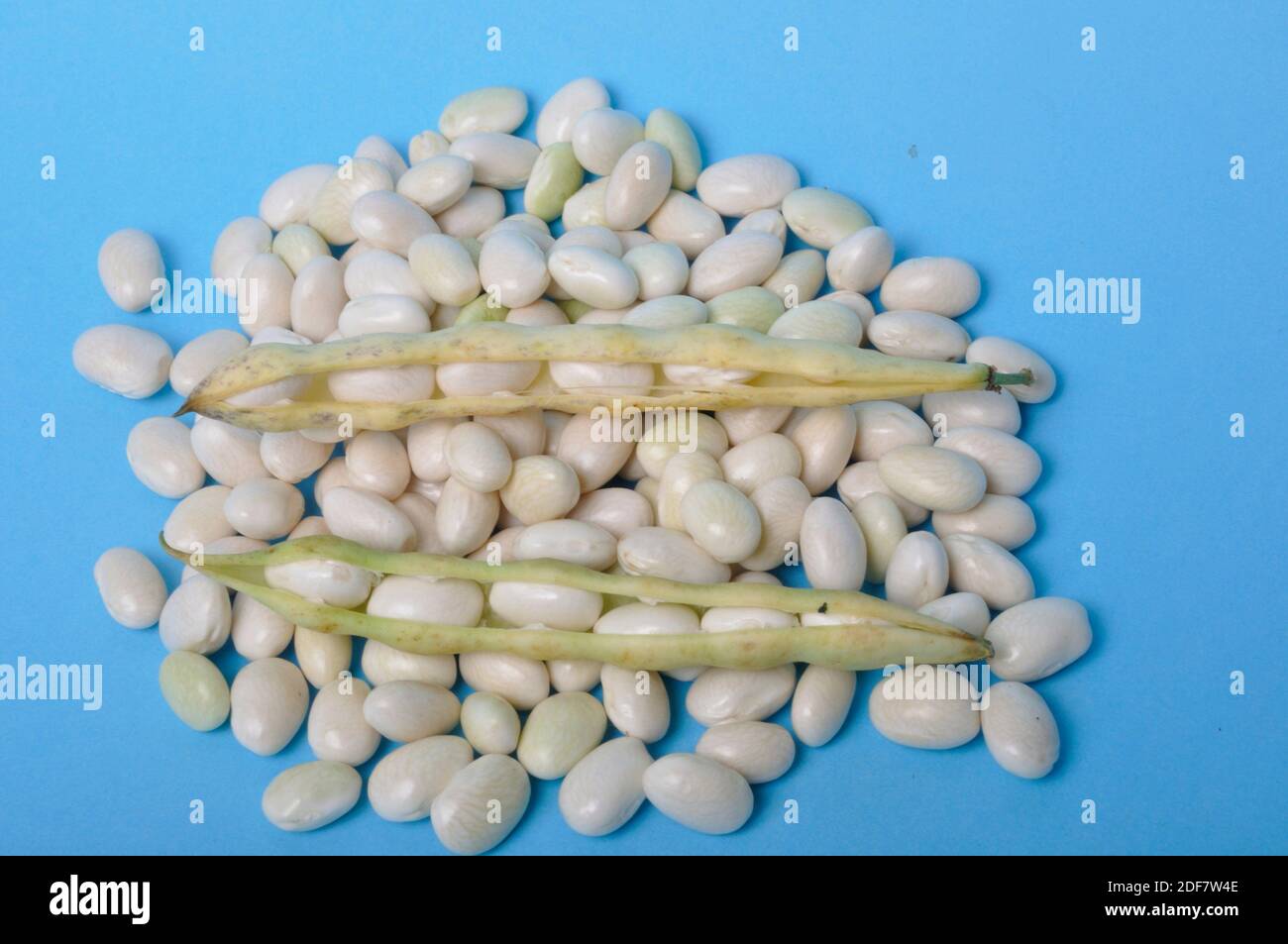 Coco bean hi-res stock photography and images - Alamy
