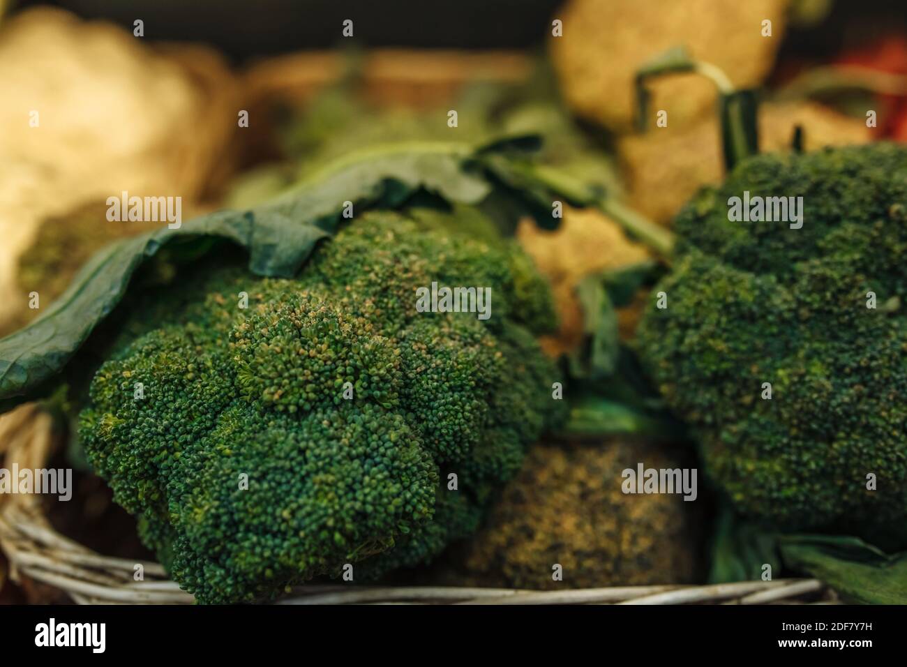 Broccoli in the bunch ,background image,advertising,text insertion ...