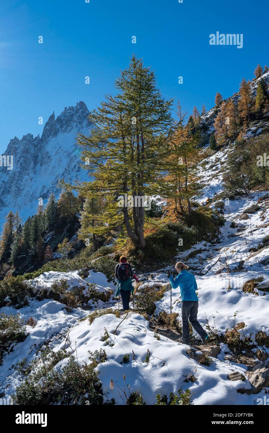 France, Haute Savoie Mont Blanc massif, Chamonix Stock Photo - Alamy