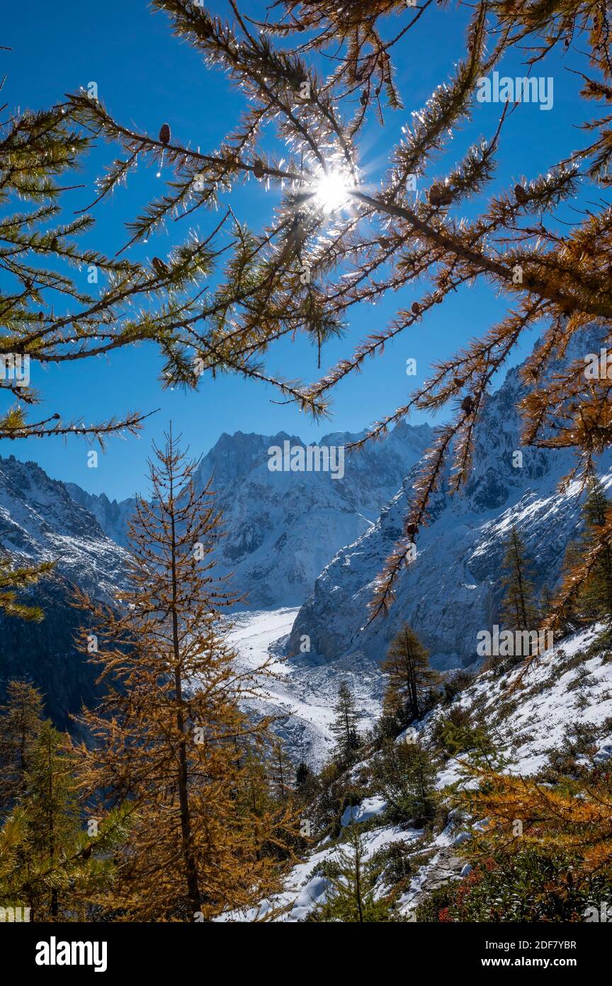 France, Haute Savoie, Mont Blanc massif, Chamonix Stock Photo - Alamy