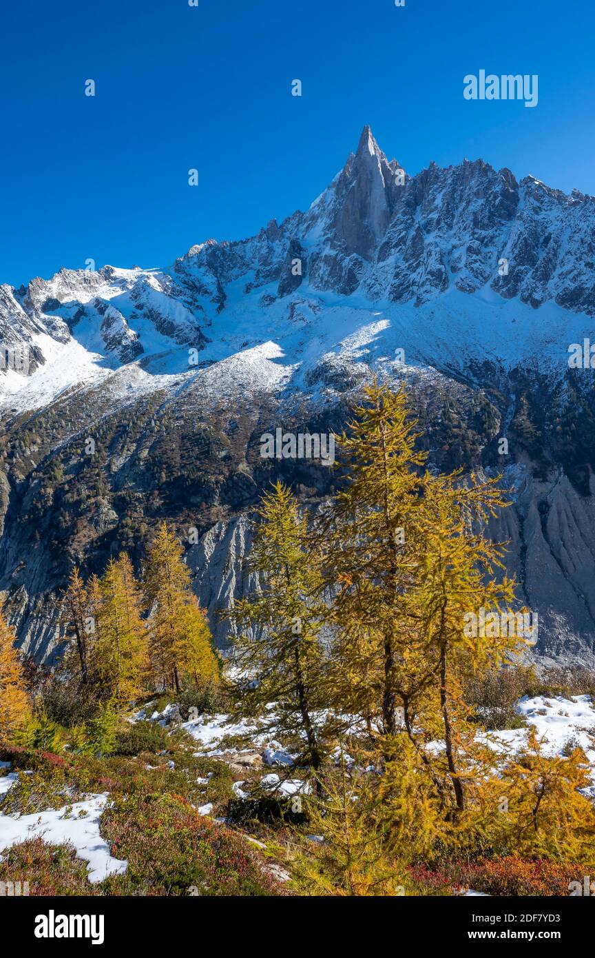 France, Haute Savoie, Mont Blanc massif, Chamonix Stock Photo - Alamy