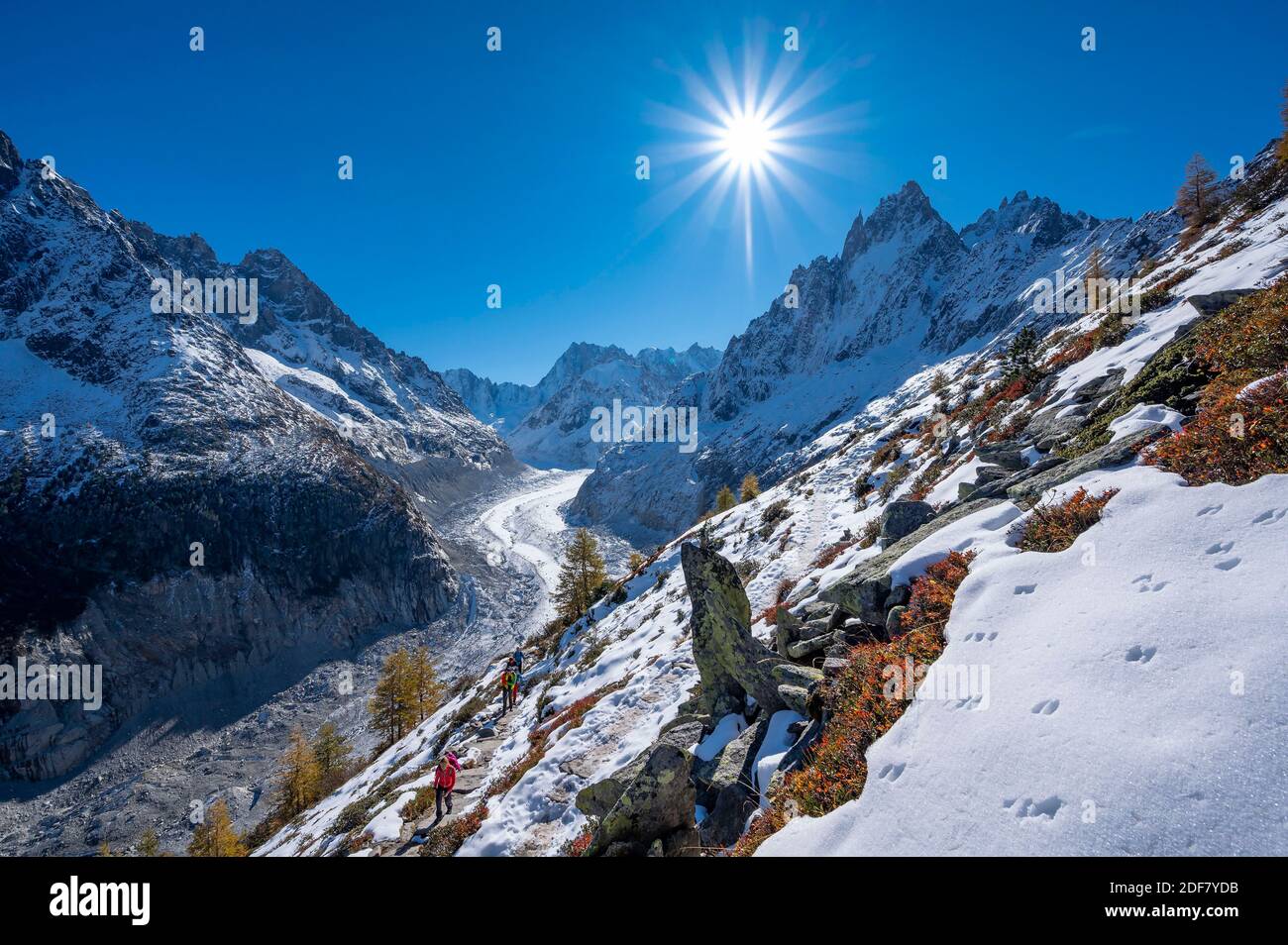 France, Haute Savoie, Mont Blanc massif, Chamonix Stock Photo - Alamy