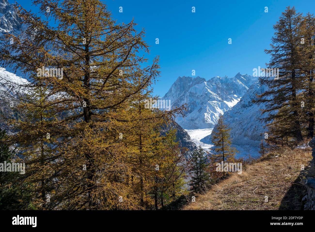 France, Haute Savoie, Mont Blanc massif, Chamonix Stock Photo - Alamy