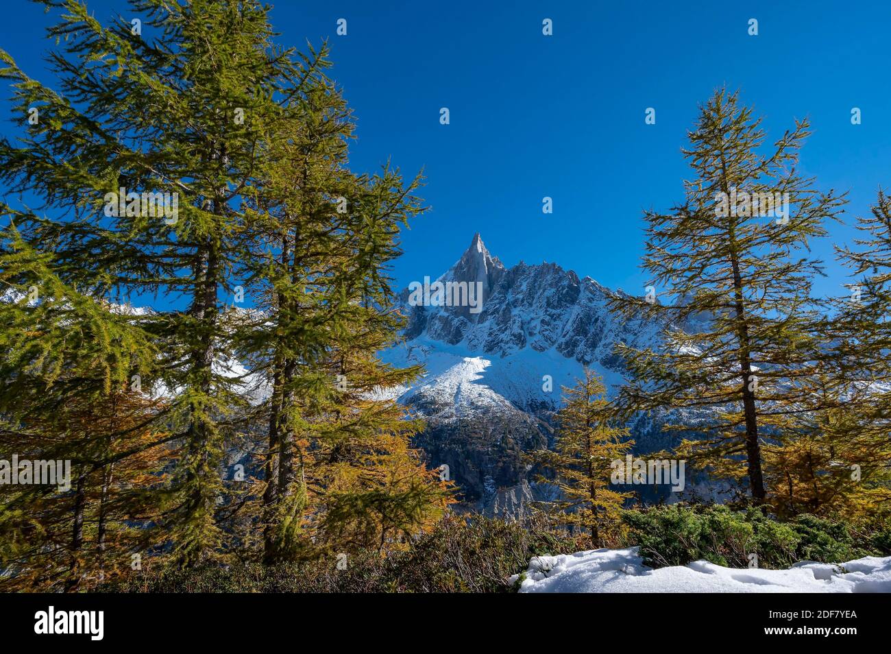 France, Haute Savoie, Mont Blanc massif, Chamonix Stock Photo - Alamy