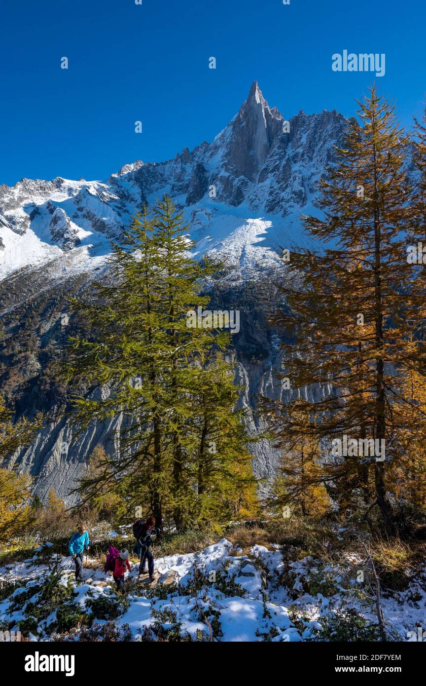 France, Haute Savoie, Mont Blanc massif, Chamonix Stock Photo - Alamy