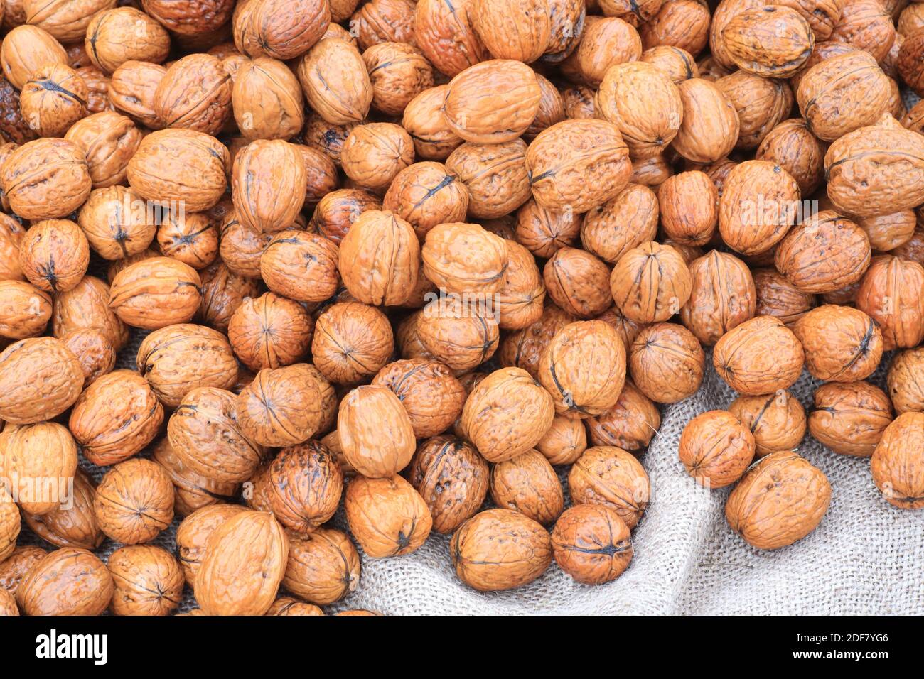 Walnut grenoble hi-res stock photography and images - Alamy