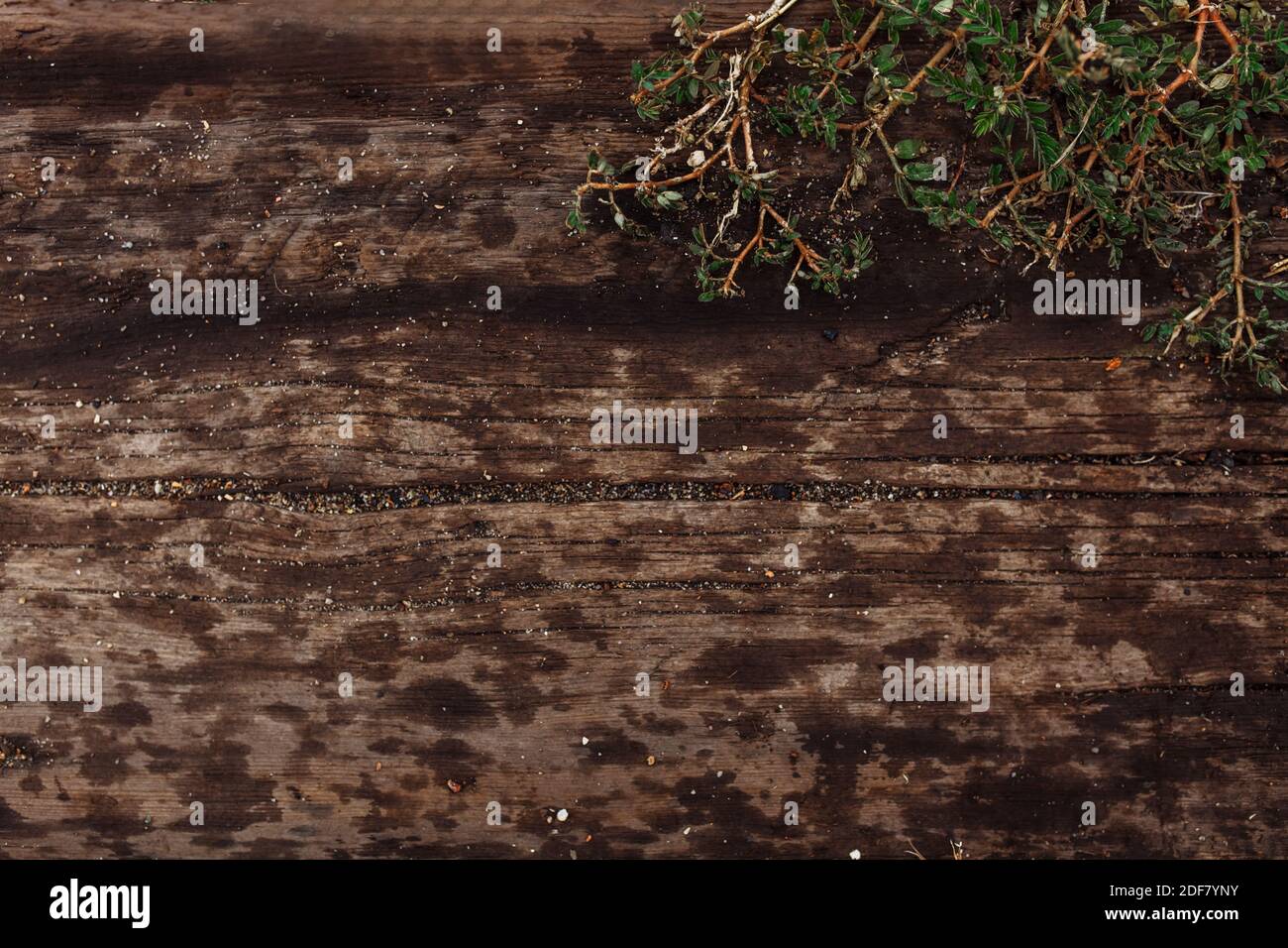 Earth, sand, background image advertising text insertion Stock Photo ... Earth, sand, background image advertising text insertion Stock Photo ...