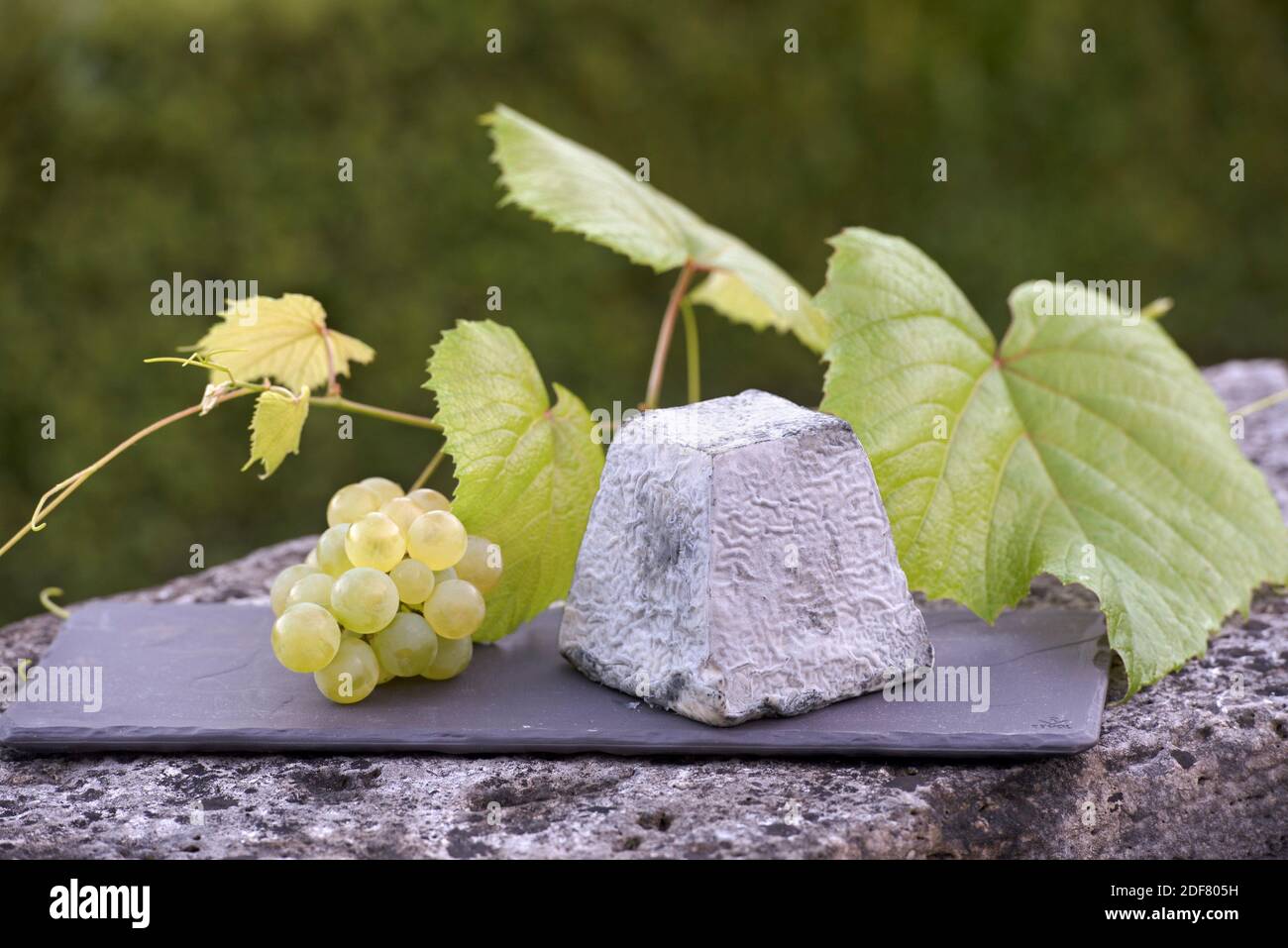 Historic food pyramid hi-res stock photography and images - Alamy