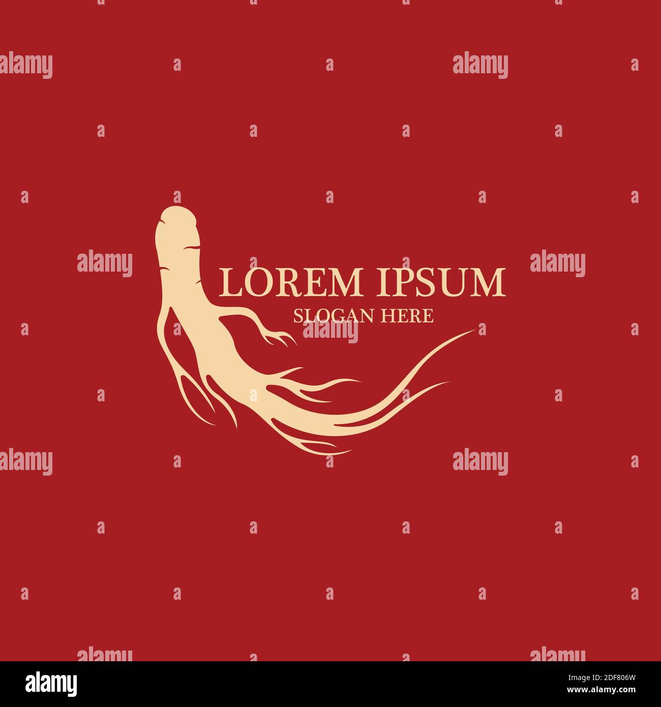 Ginseng root white background Stock Vector Images - Alamy