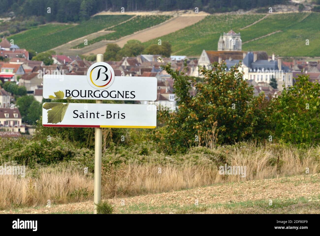Saint bris burgundy hi-res stock photography and images - Alamy