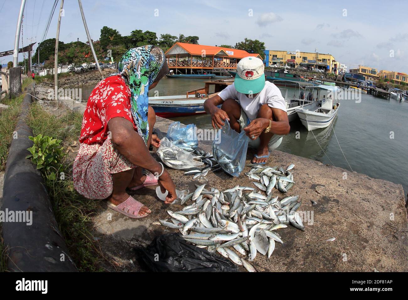 Sabah fish hi-res stock photography and images - Alamy