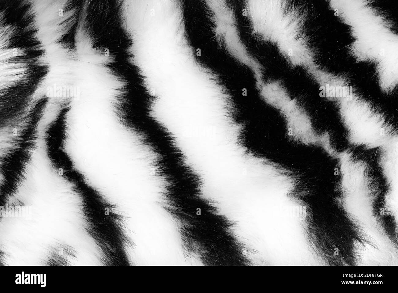 fur with black white stripes Stock Photo - Alamy