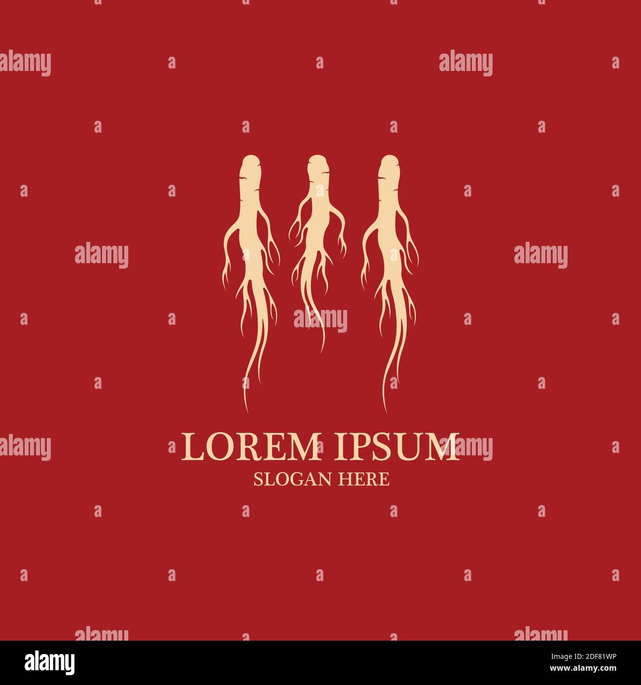 ginseng logo vector and symbol Stock Vector Image & Art - Alamy