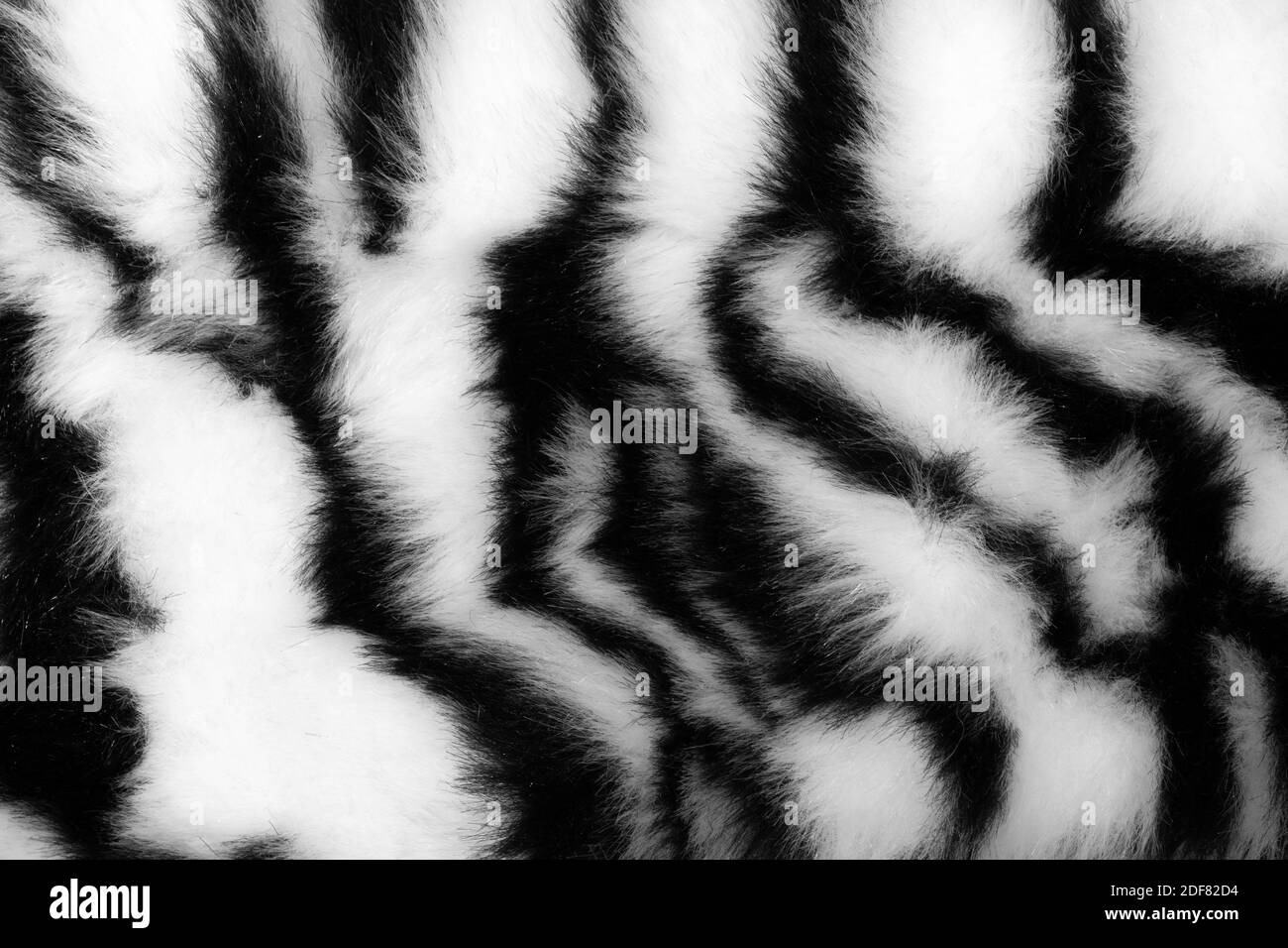 fur with black white stripes Stock Photo - Alamy