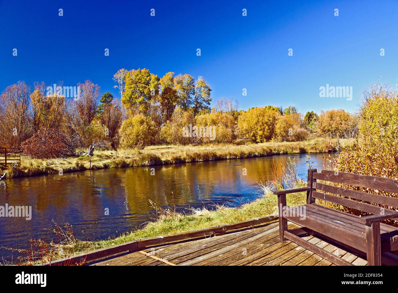 Bone Or Wood High Resolution Stock Photography and Images - Alamy