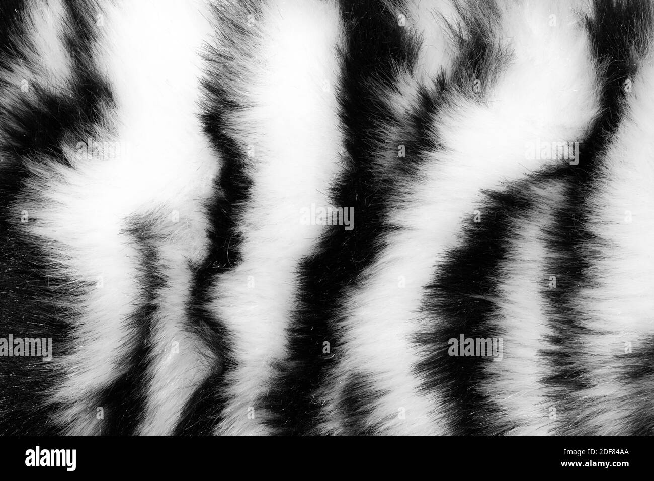 fur with black white stripes Stock Photo - Alamy
