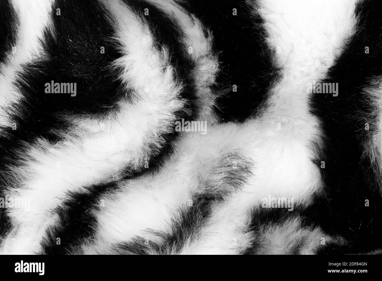 fur with black white stripes Stock Photo - Alamy
