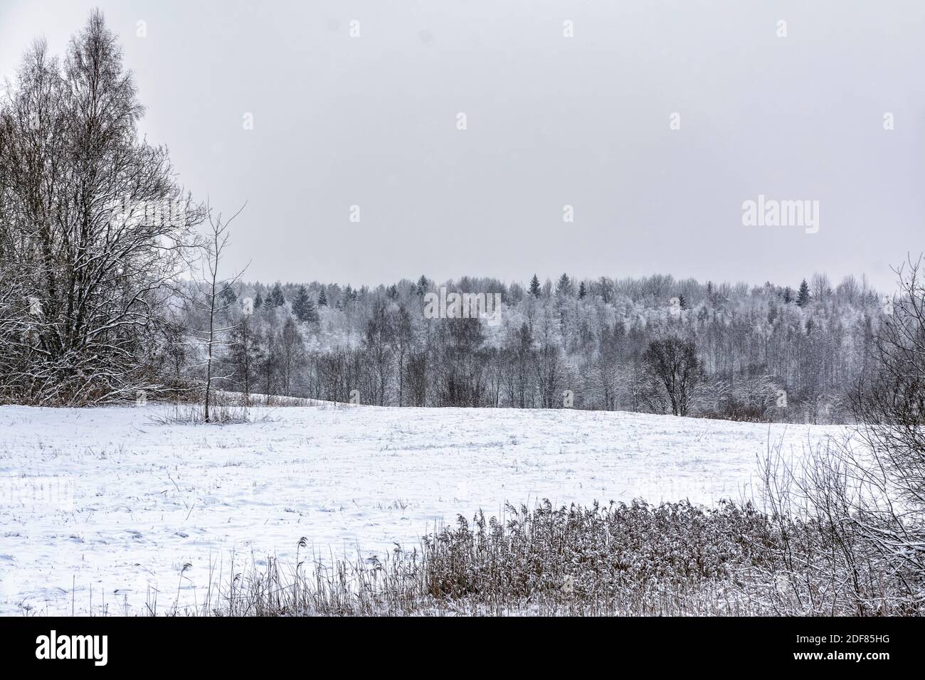 Winter landscape in the countryside with trees and houses after heavy ...